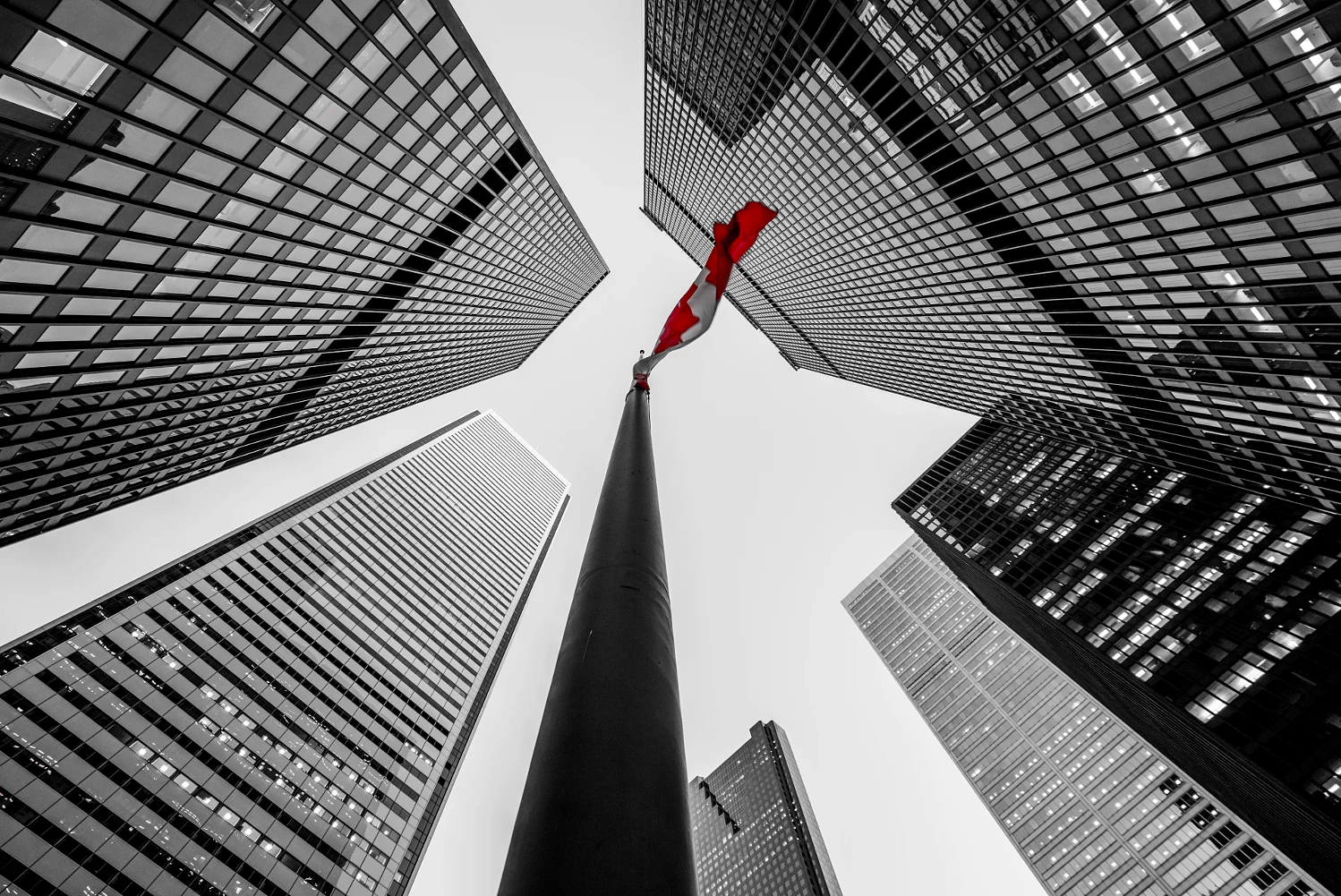The 20 Most Innovative Tech Companies In Canada Techvibes