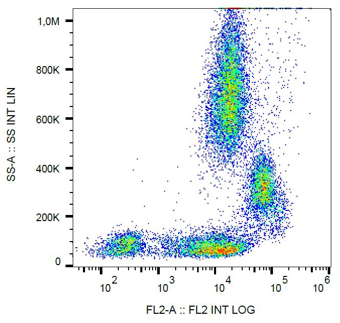 Anti-R63 Antibody