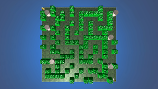Labyrinth_1 | AgentCubes