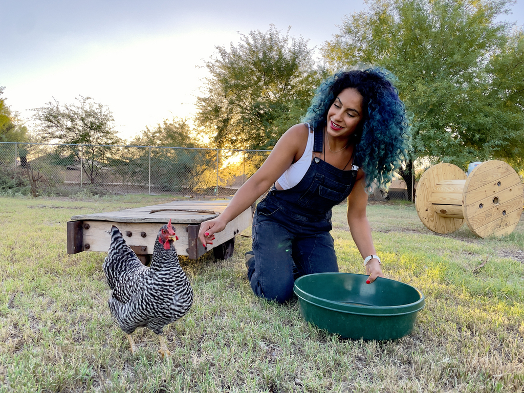 Airmart | R&R Ranch | Online Ordering