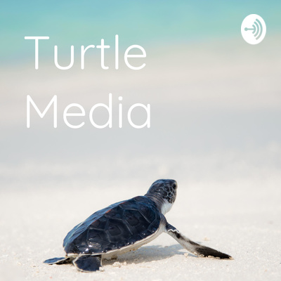 Turtle Media • A podcast on Spotify for Creators