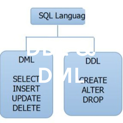 DDL & DML • A podcast on Spotify for Podcasters