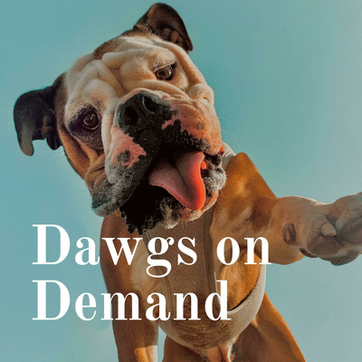 Dawgs on Demand • A podcast on Spotify for Creators