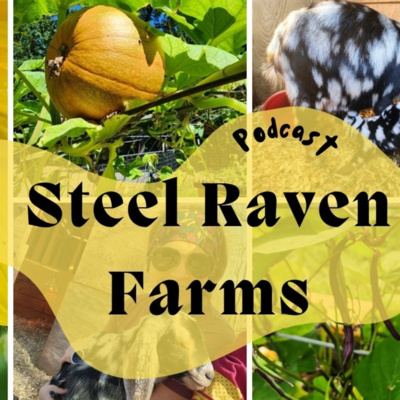 Steel Raven Farms • A podcast on Spotify for Creators