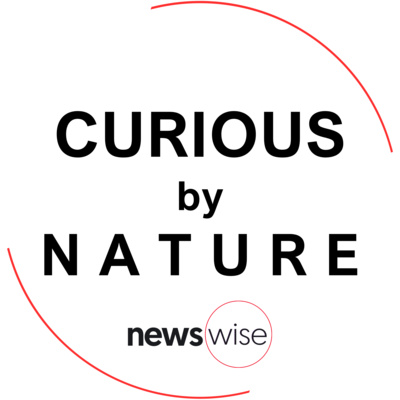 Dr. Shuo Sun - A Fascinating Glimpse into Quantum Photonics by Curious ...