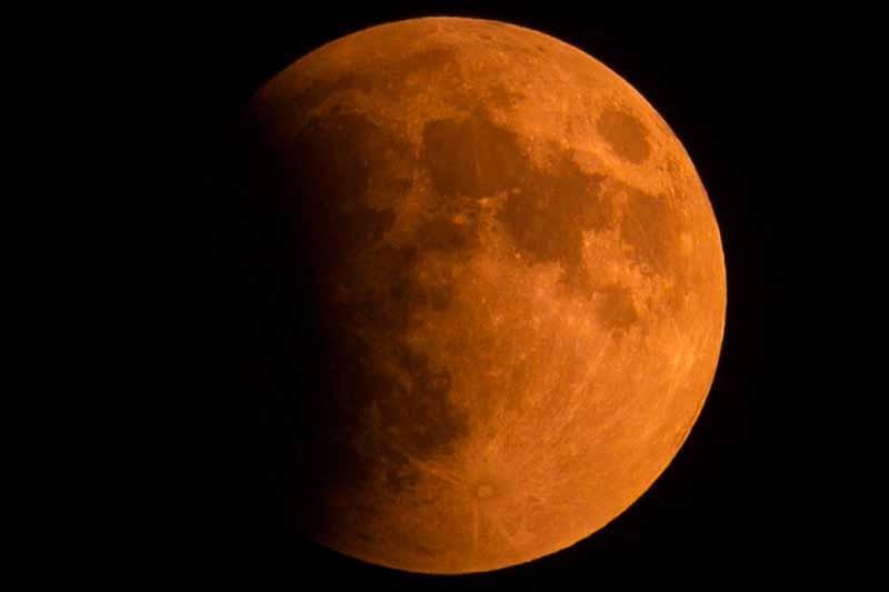 The Full Moon Effect | Life in Long Grove