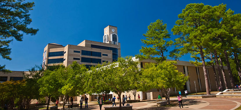 Arkansas State University