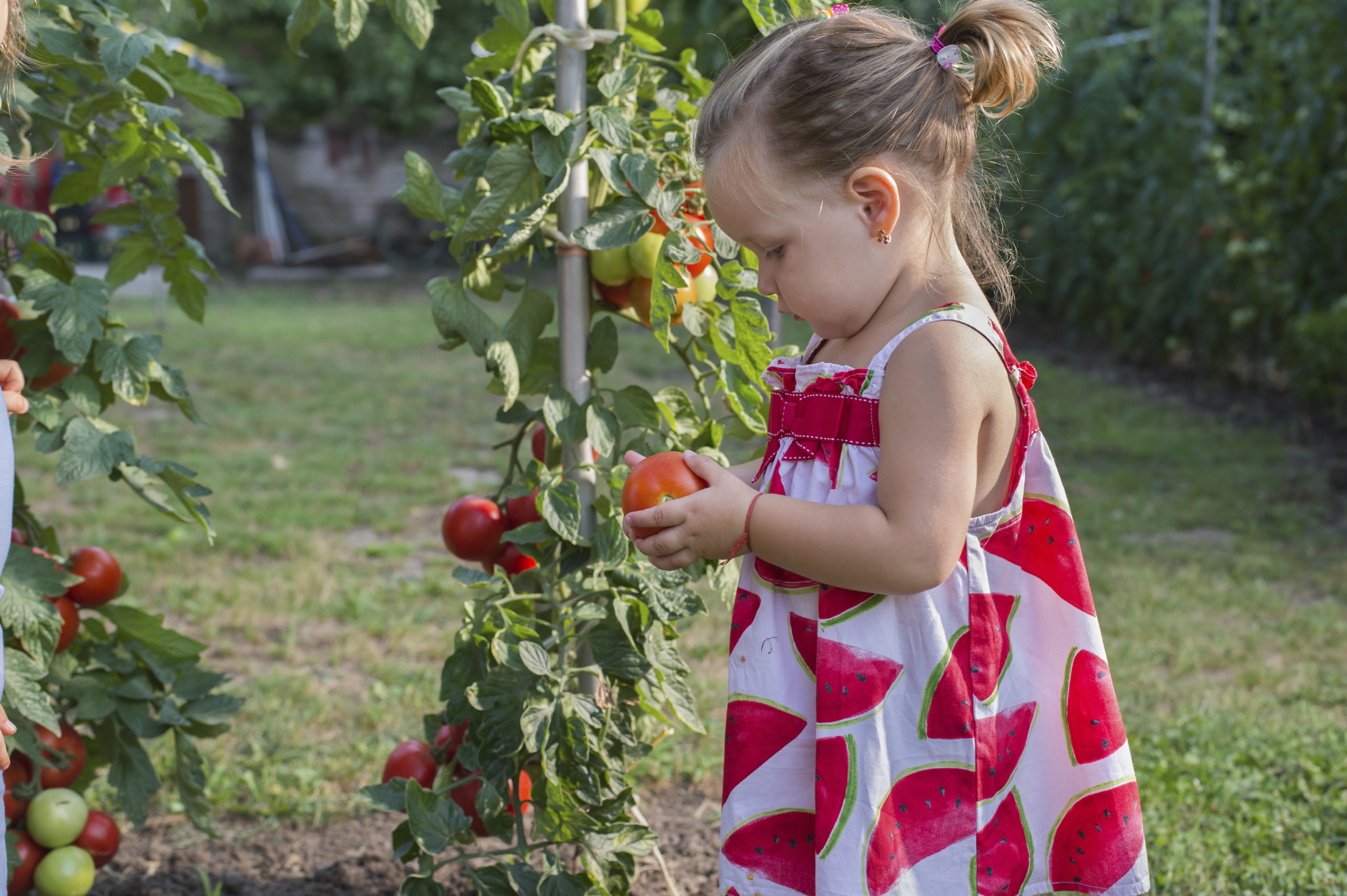 The Simple Trick That Will Help Your Children Eat Their Fruits And the-simple-trick-that-will-help-your-children-eat-their-fruits-and
