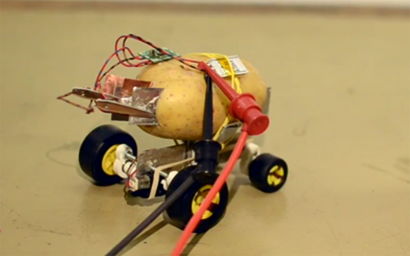 WATCH: Meet the amazing self-driving potato - East Idaho News
