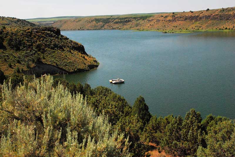 The kokanee are biting big time at Ririe Reservoir - East Idaho News