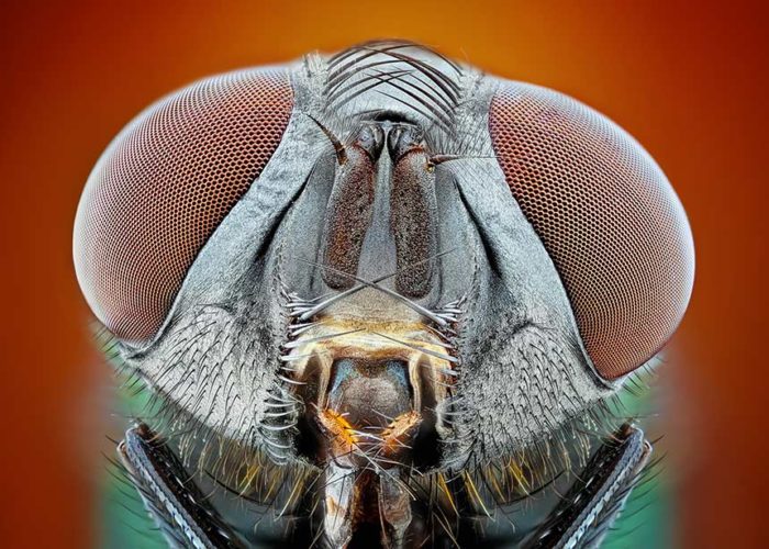 5 fun, cheap and easy science activities to do with your kids - East ...