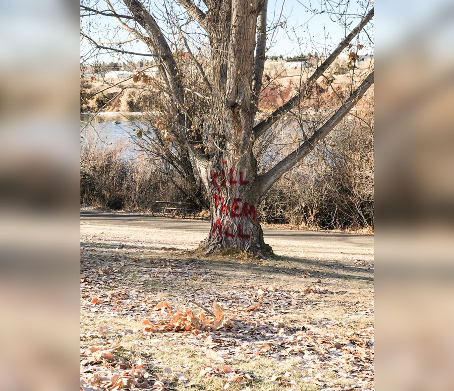 Swastikas found painted on trees, poles at Idaho Falls park - East ...