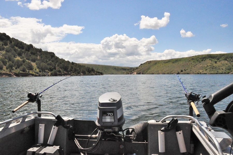The fishing is good at Ririe Reservoir and the Kokanee are biting ...