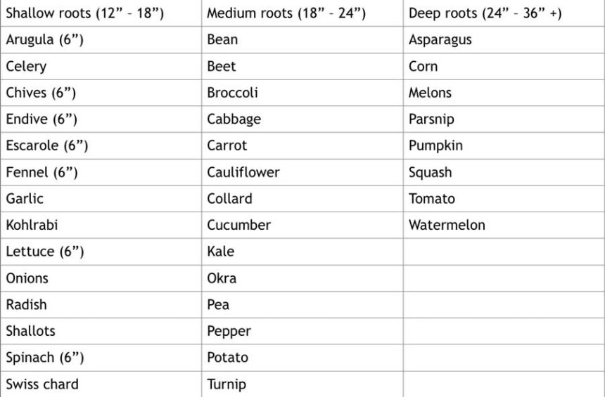 The ins and outs of vegetable crop irrigation - East Idaho News