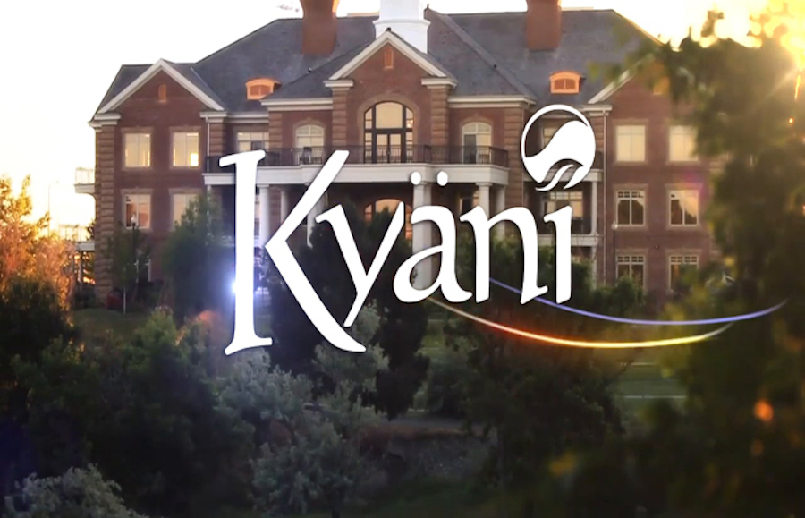 Idaho Falls-based Kyäni acquired by mental wellness company Amare ...