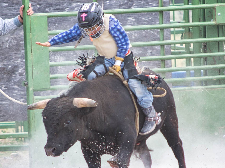 9-year-old bull-rider's family raising money to take him to ...