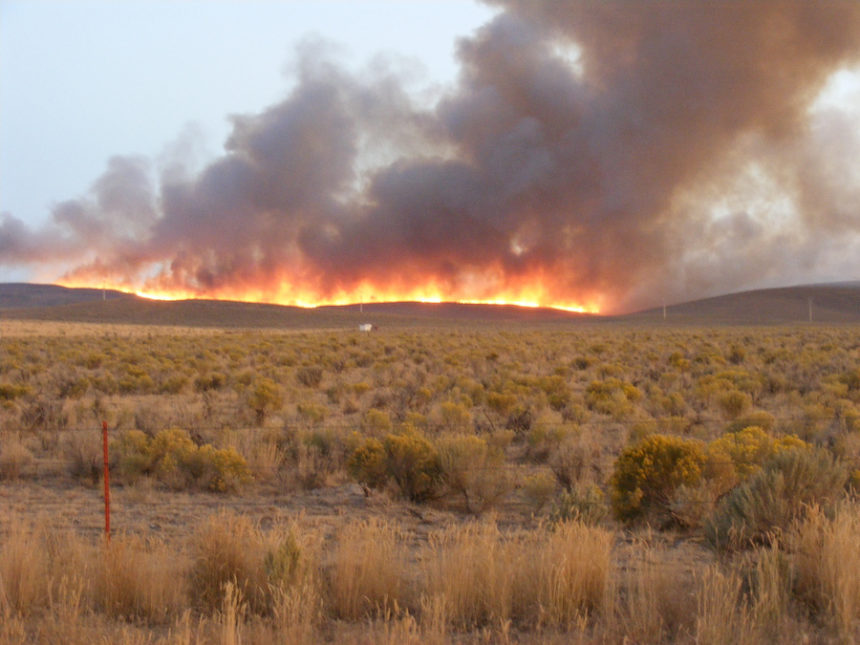 Hunters should check for wildfires in their hunting areas before their ...