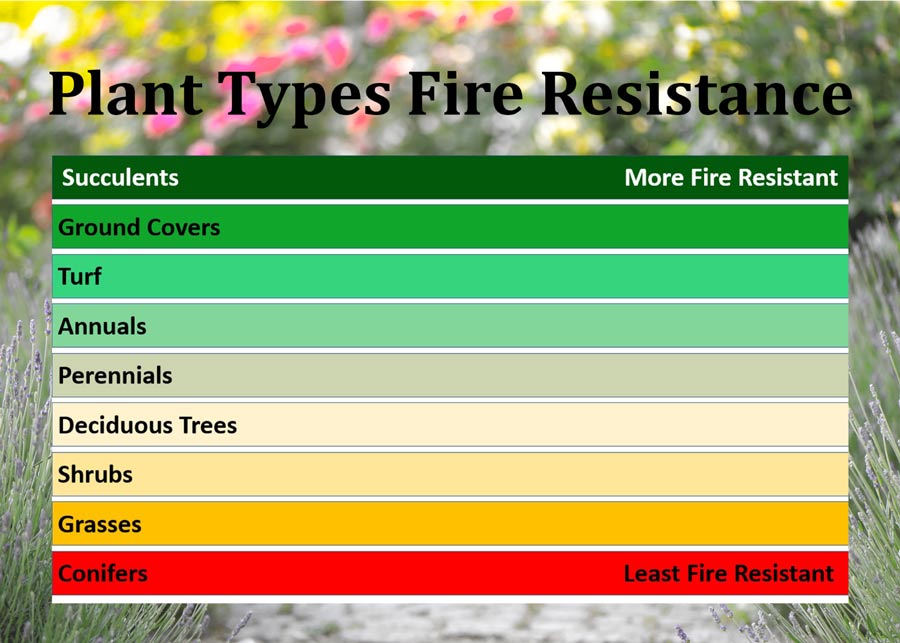 How To Make Your Garden A Fireproof Landscape Paper Writer How To Make Your Garden A Fireproof Landscape Paper Writer