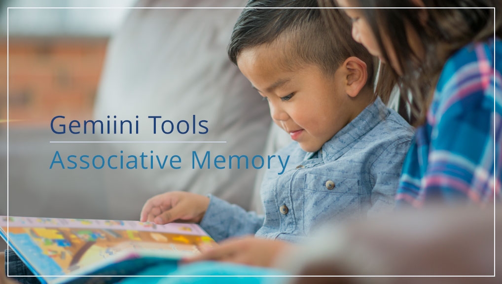 Gemiini's Associative Memory Tool – Gemiini Systems