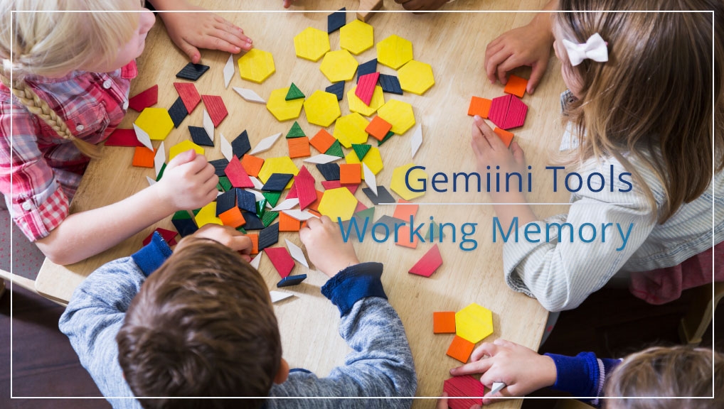 How To Use Gemiini's Working Memory Tool – Gemiini Systems