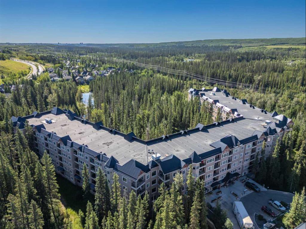 Jamie Newton - Find your dream home in Calgary | Community knowledge ...