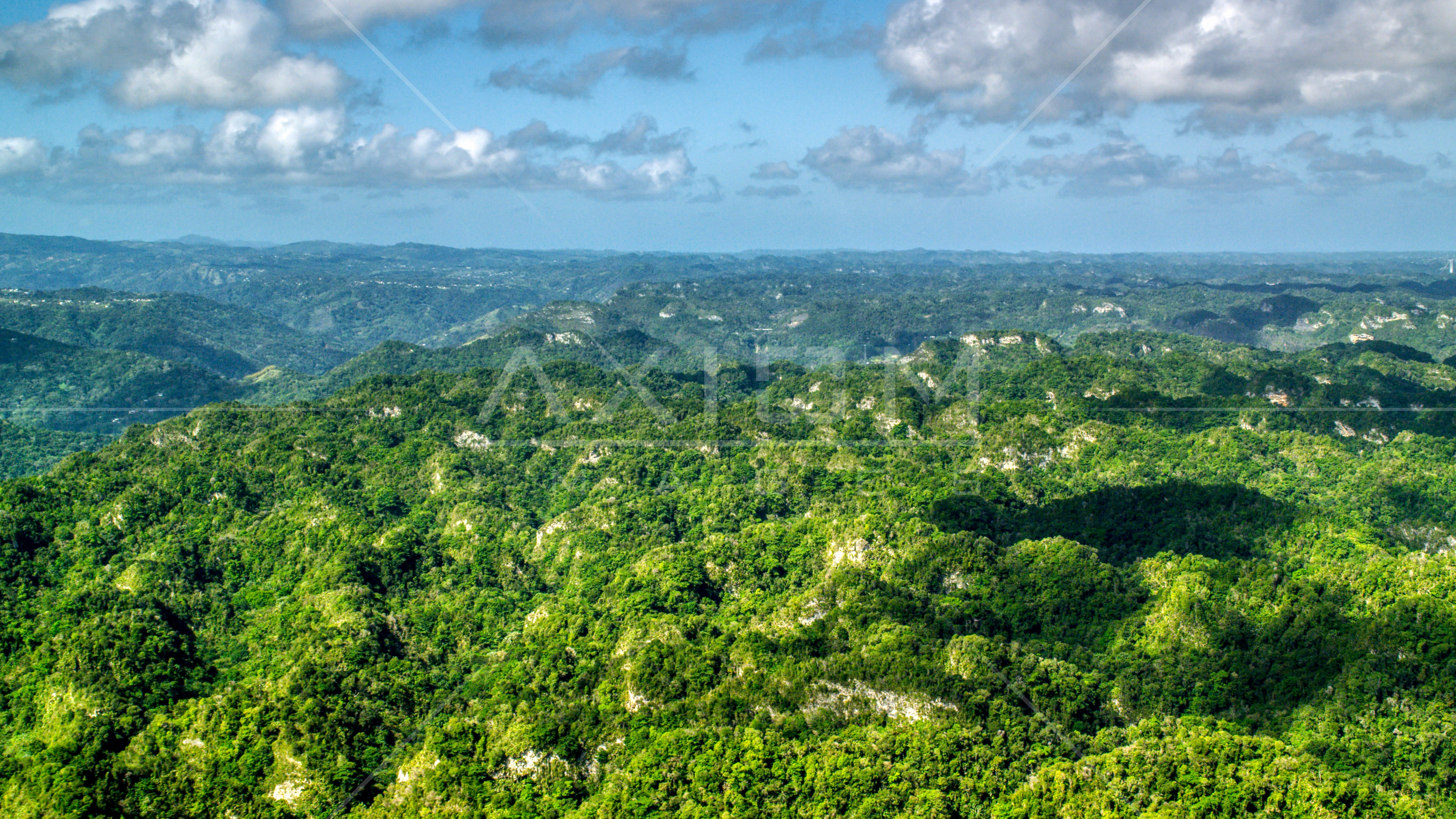 Green jungle and limestone cliffs in the Karst Forest, Puerto Rico ...