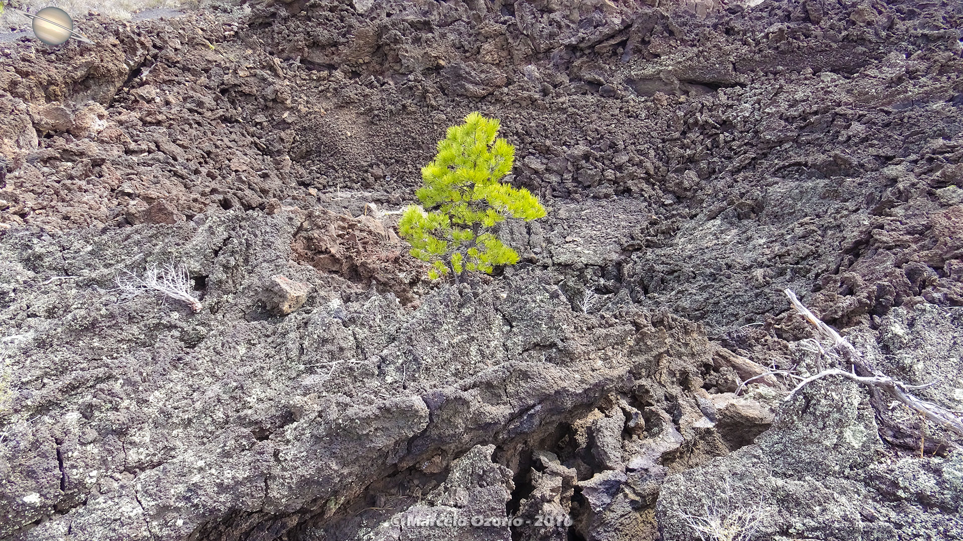 Frozen Lava Fields at Sunset Crater Volcano - Arizona - Viagem.Space ...