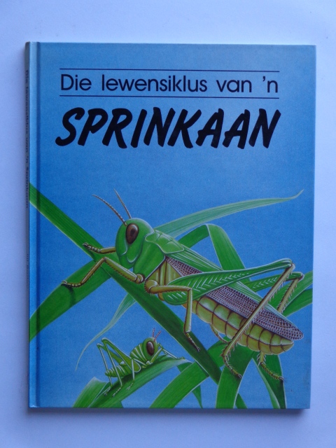 Afrikaans - Die Lewensiklus van 'n Sprinkaan - Jill Bailey for sale in ...