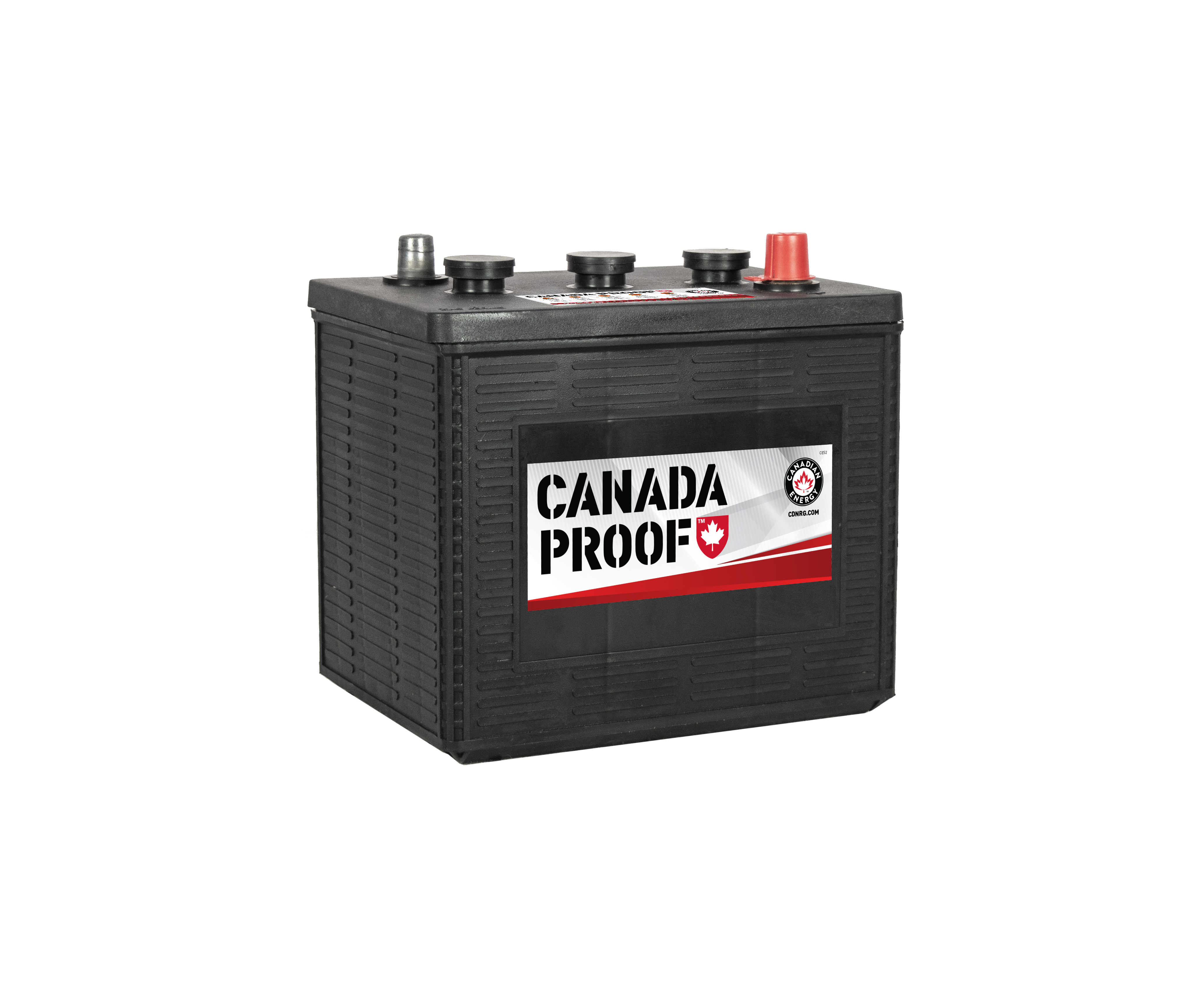 6V & 12V Deep Cycle Batteries | Flooded Lead Acid Batteries | Canadian ...
