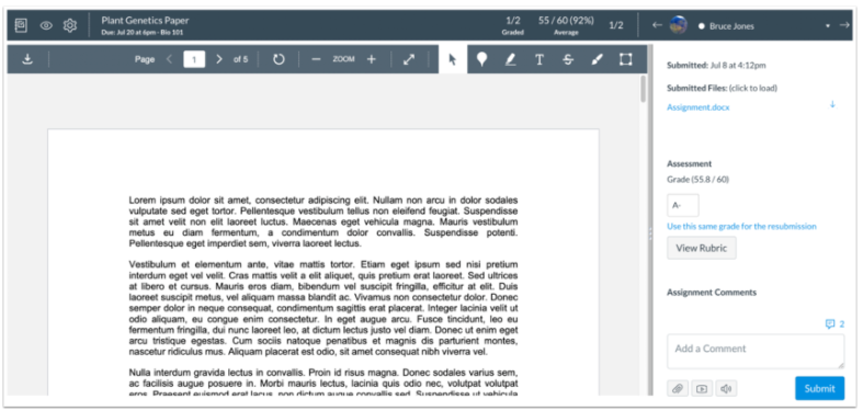Canvas: Grading an Assignment · Alludo