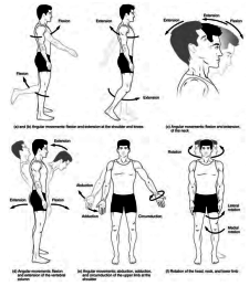Types of Body Movements | Anatomy and Physiology
