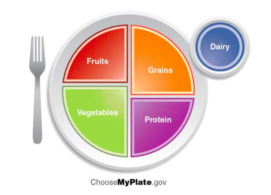 Nutrition and Diet | Lifetime Fitness and Wellness