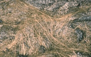 Reading: Volcanic Gases, Pyroclastic Flow, and Tephra | Geology