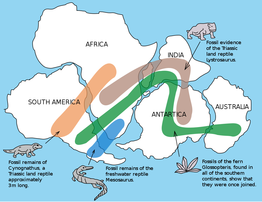 Theory Of Continental Drift Physical Geography Theory Of Continental Drift Physical Geography