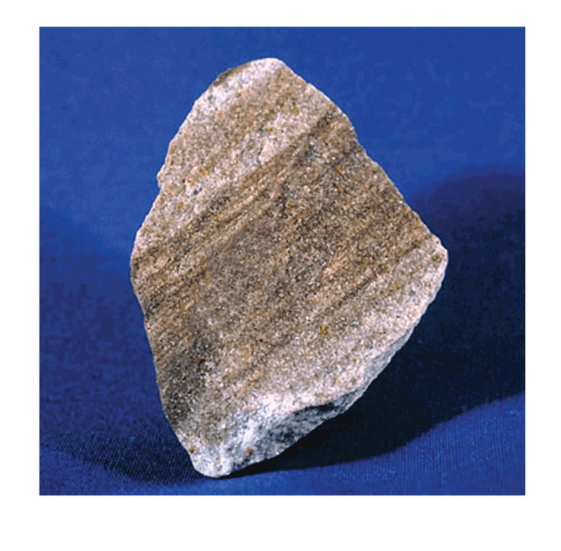 Sedimentary Rocks Earth Science Sedimentary Rocks Earth Science