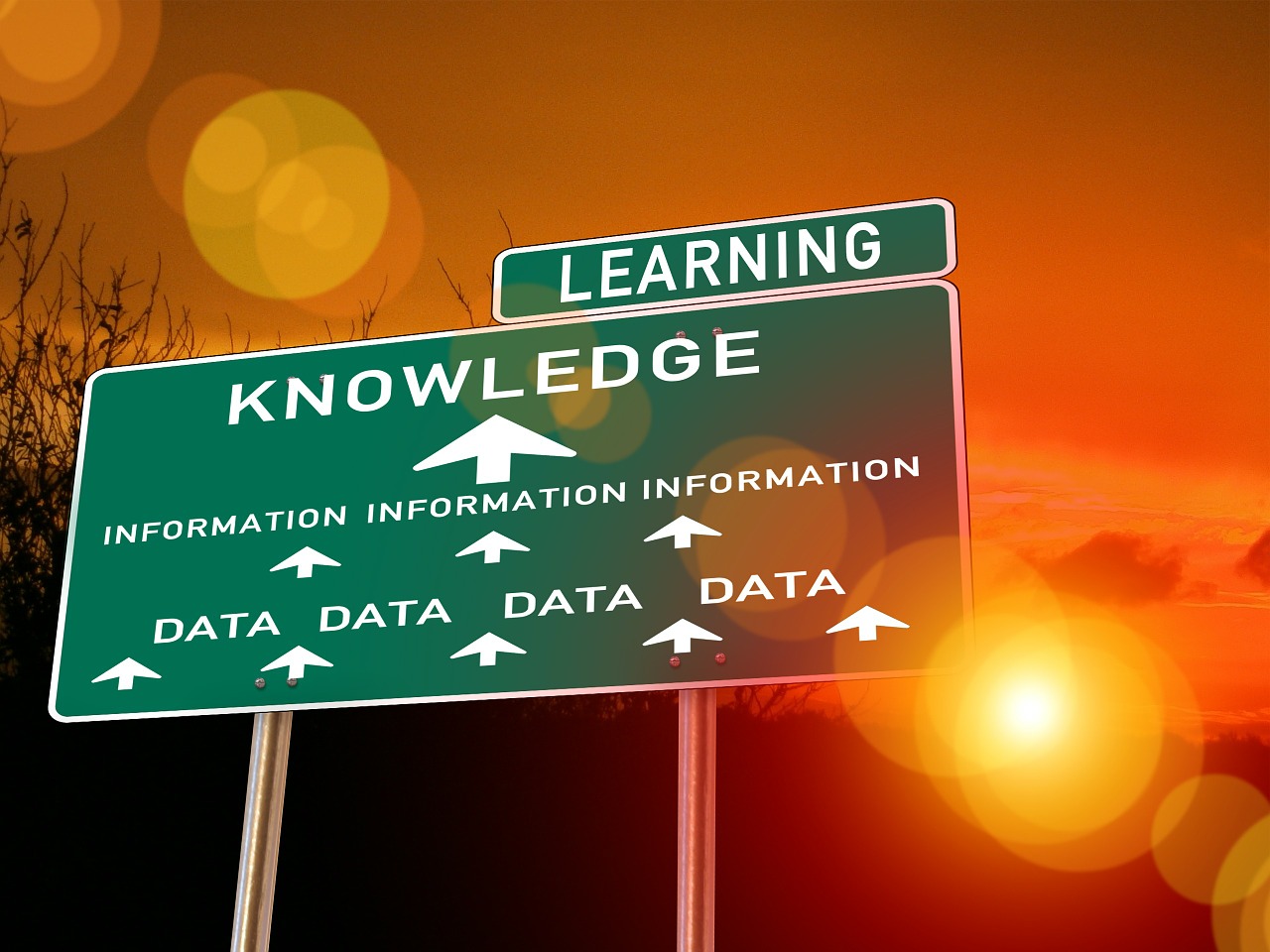 Reading Data Vs Information Introduction To Business Fall 2016 Reading Data Vs Information Introduction To Business Fall 2016