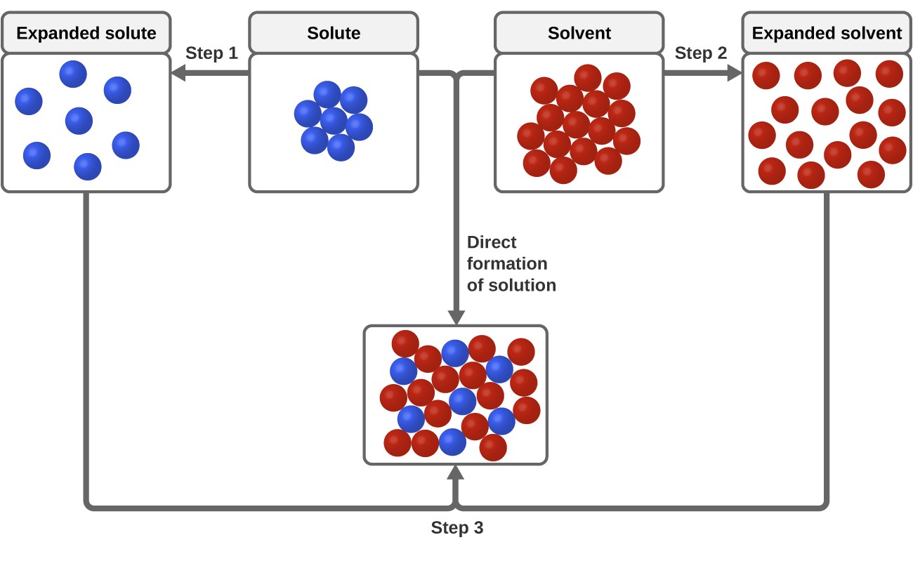 The Dissolution Process Chemistry For Majors