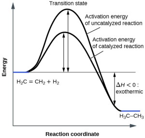 Catalysis | Chemistry: Atoms First