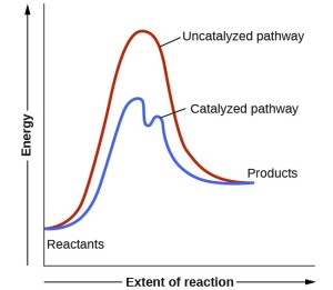 Catalysis | Chemistry: Atoms First