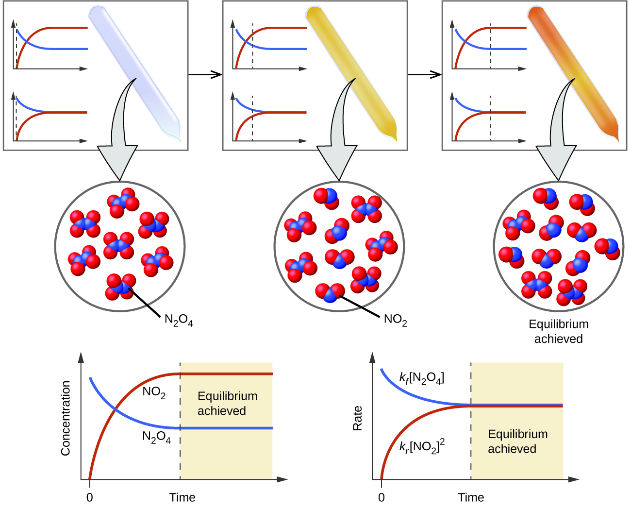 13.1 Chemical Equilibrium | General College Chemistry II