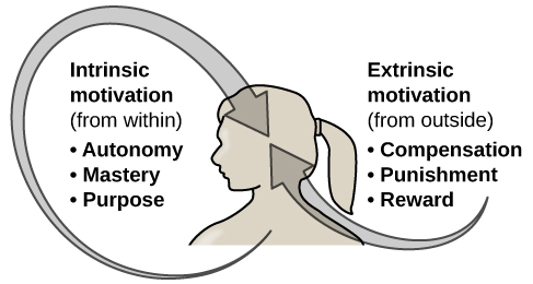 Motivation Introduction To Psychology Motivation Introduction To Psychology