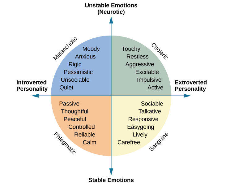 Explaining Personality Biological Approaches And Trait Theories 