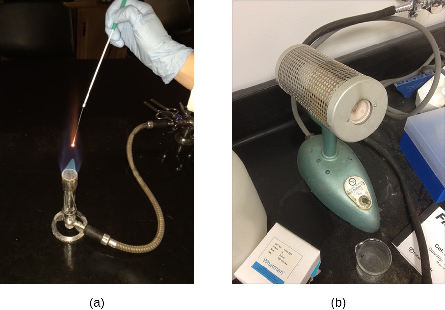 Using Physical Methods To Control Microorganisms Microbiology