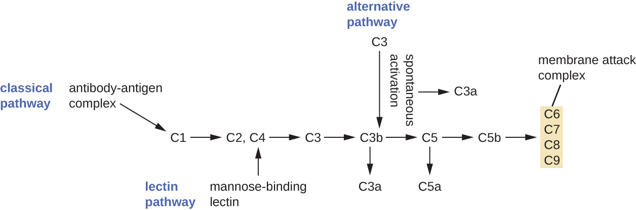 Chemical Defenses | Microbiology