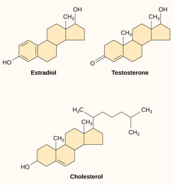 Signaling Molecules | Biology for Majors I