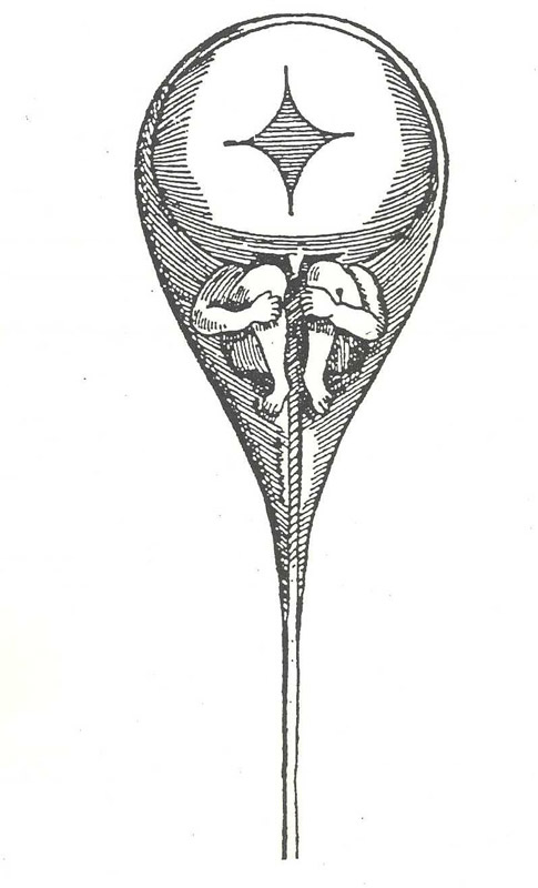 Chapter 14. Mendel and Heredity | Biology for Majors (openstax import ...