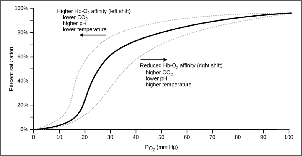 Transport Of Oxygen In The Blood Biology For Majors II