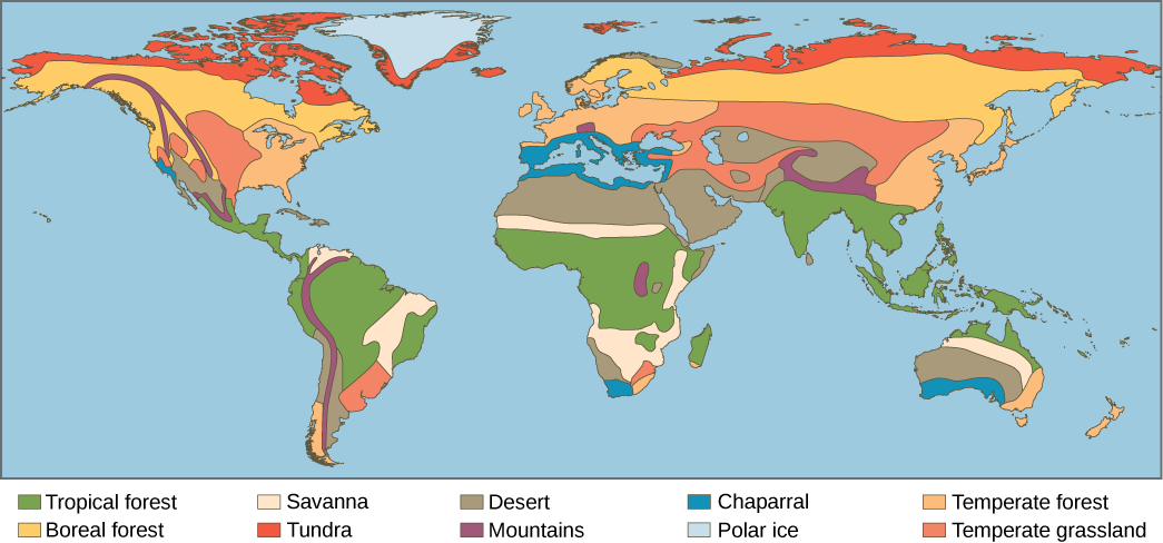 Characteristics of Terrestrial Biomes | Biology for Majors II
