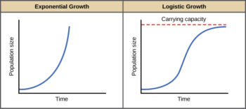 Population Ecology | Biology for Majors II