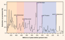 Mass Extinctions | Biology for Majors II
